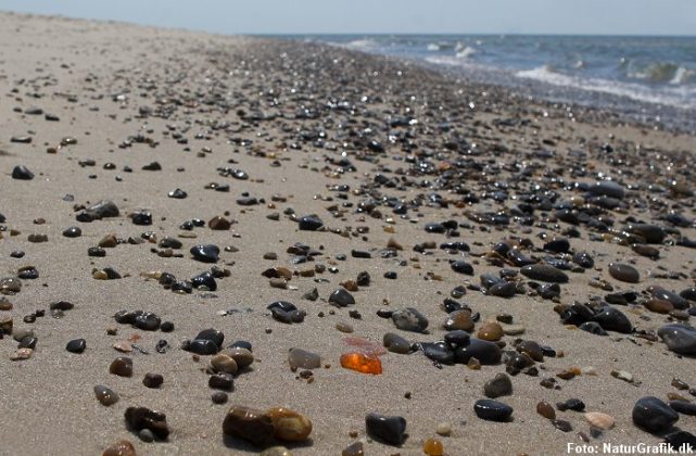Find smukke sten ved stranden året rundt. - ThorupStrand - natur & turisme